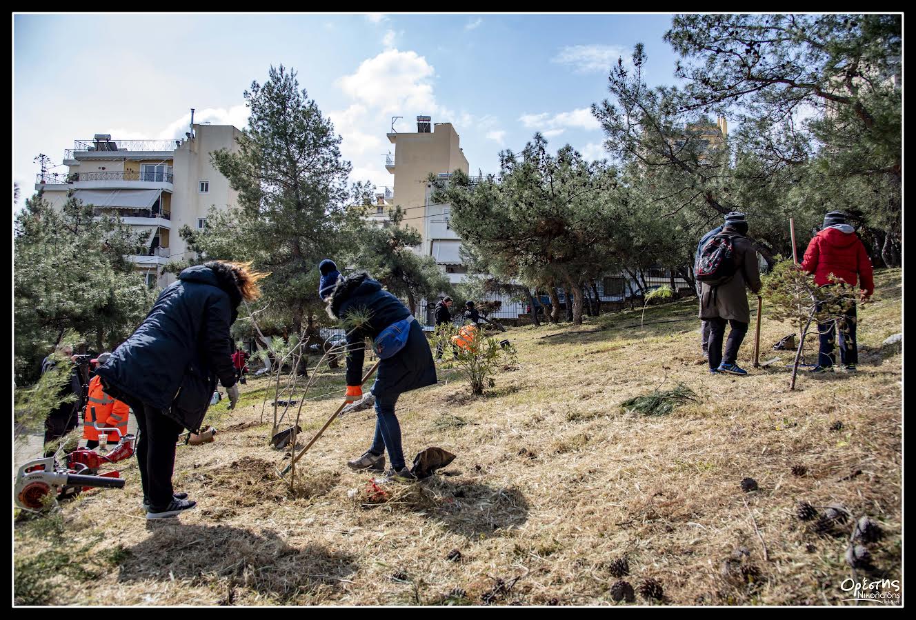 Δράση εθελοντικής δεντροφύτευσης την Κυριακή 16 Οκτωβρίου στο Άλσος ...