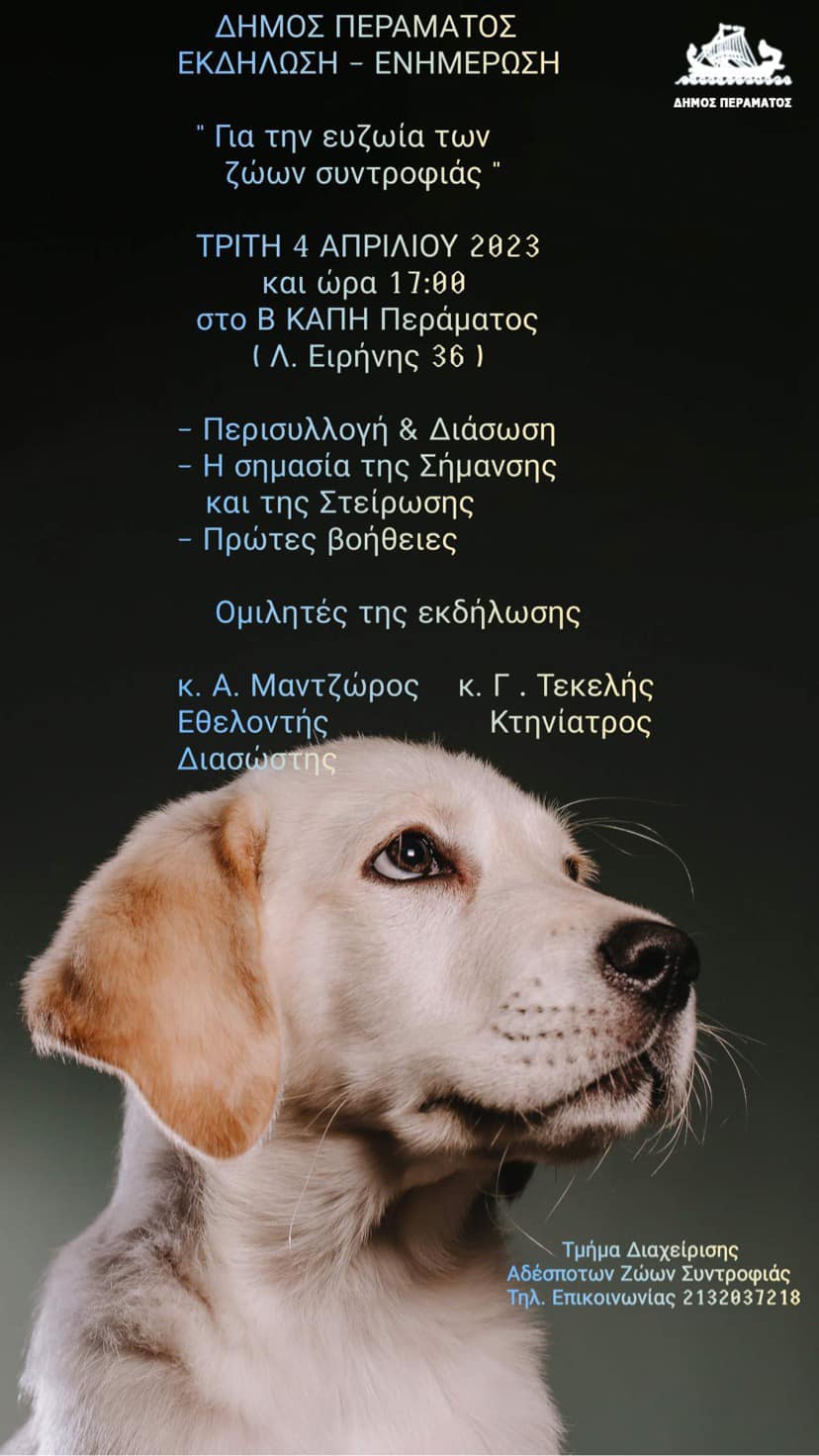 Παγκόσμια Ημέρα Αδέσποτων: Σειρά δράσεων από το Δήμο Περάματος | XΤΥΠΟΣ ...