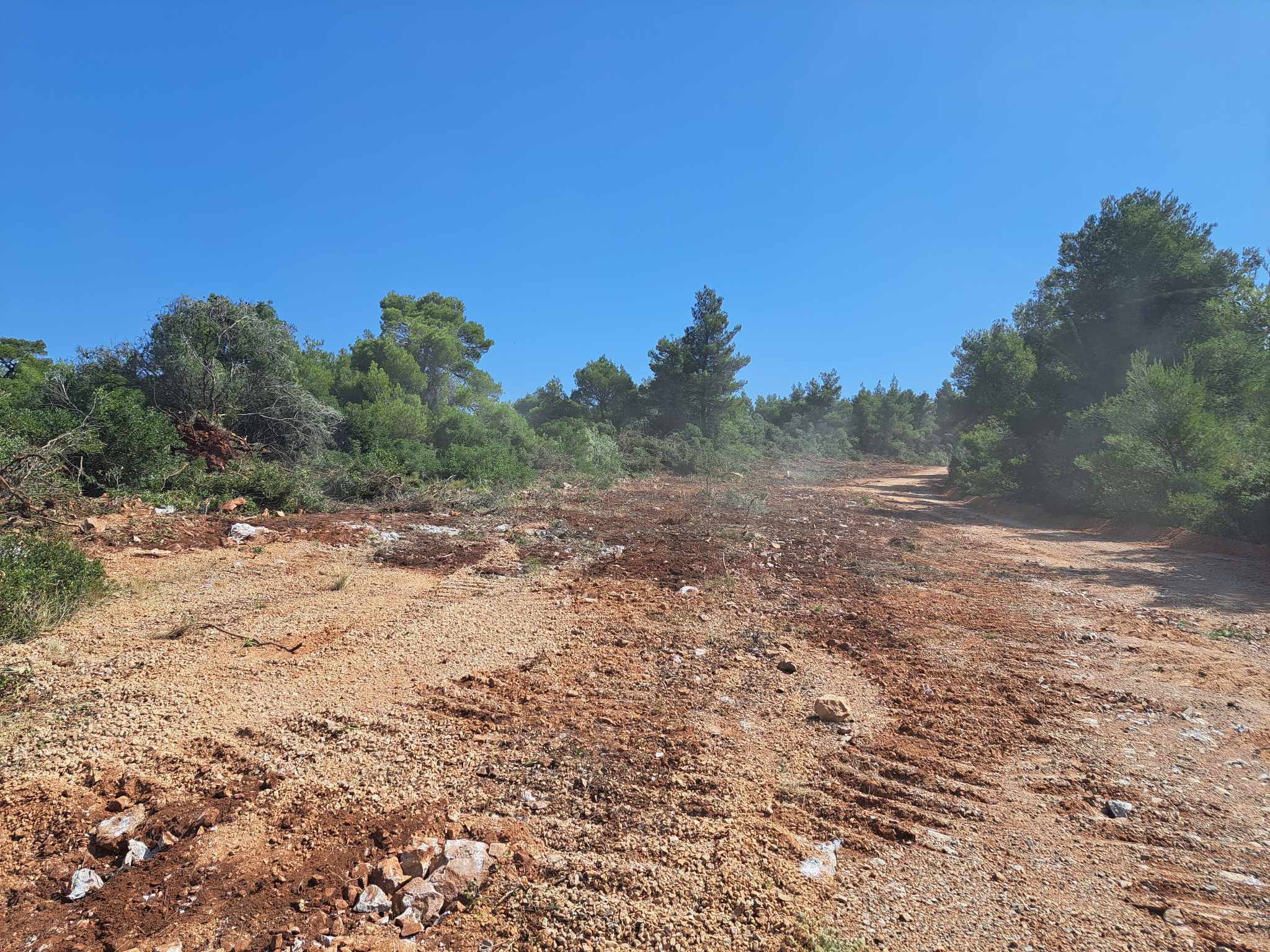 Δημιουργία Αντιπυρικής Ζώνης στα Δερβενοχώρια | XΤΥΠΟΣ online